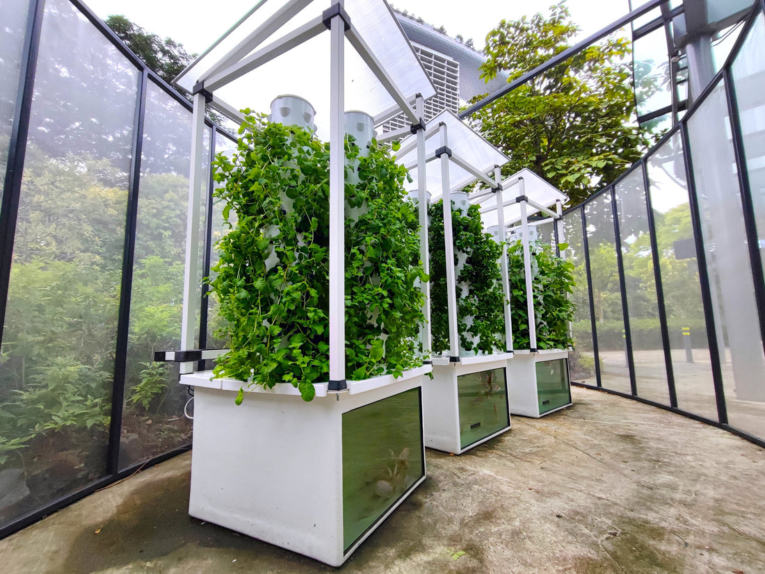 Smart, Sustainable, Scalable Solutions for Vertical Aquaponics Farming ...