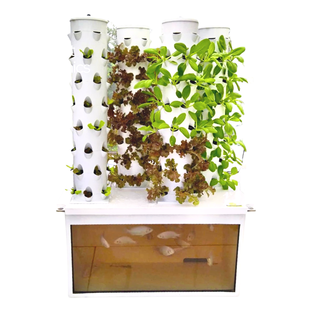 V-Gro Cube – V-Plus Agritech