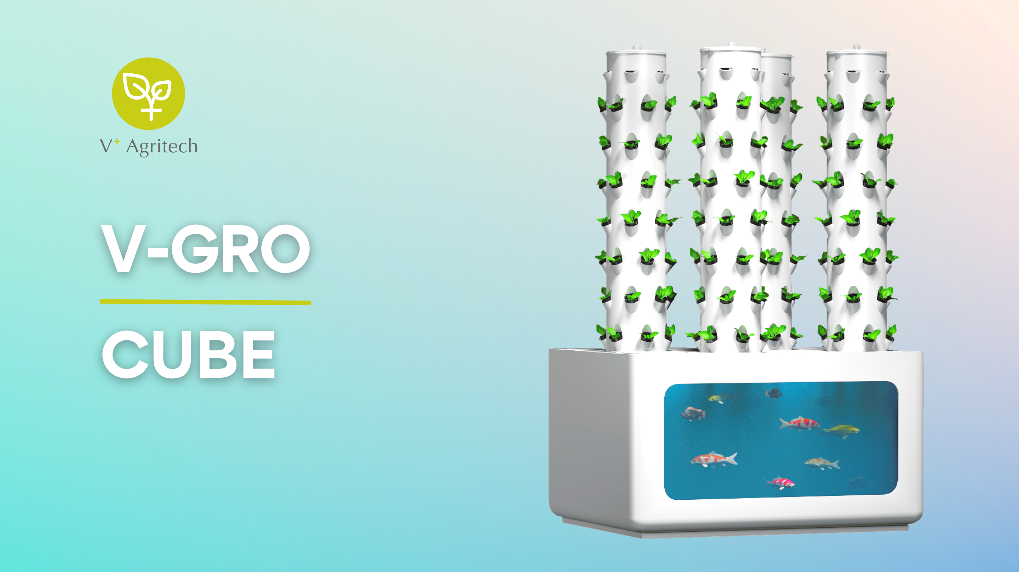V-Gro Cube – V-Plus Agritech