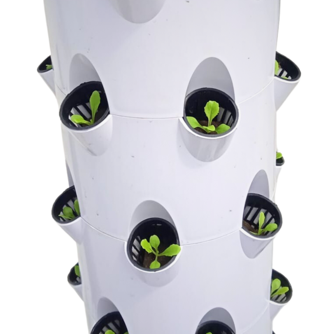 Build: Innovative Solutions, Towering Success – V-Plus Agritech